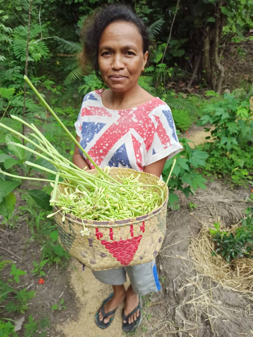 DaTerra Agroecological Farm in Timor-Leste
