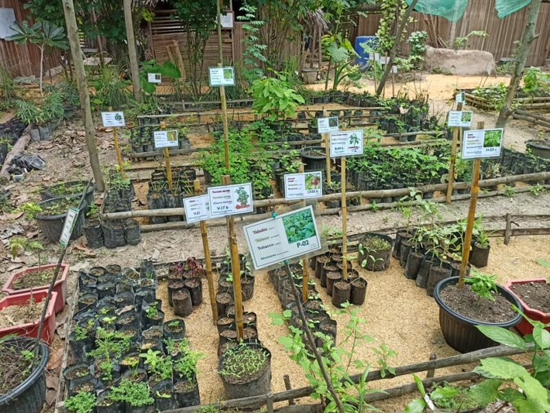 DaTerra Agroecological Farm in Timor-Leste
