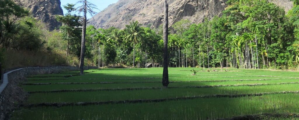 Explore Oecusse-Ambeno Municipality in Timor-Leste