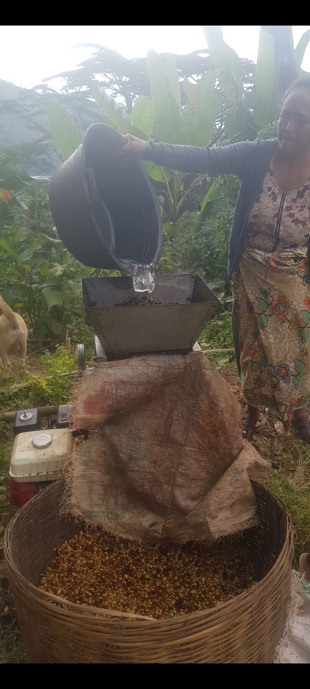 Gomes Community Farm Guest House in Railaco