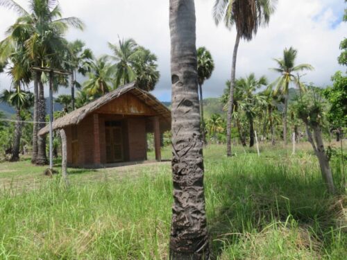 Uma Ba Futuru: Eco Stay on Ataúro Island