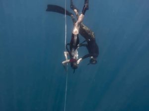 Reverse Freediving - Tourism Timor-Leste