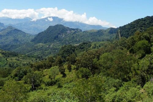Explore Dili to Maliana - Tourism Timor-Leste