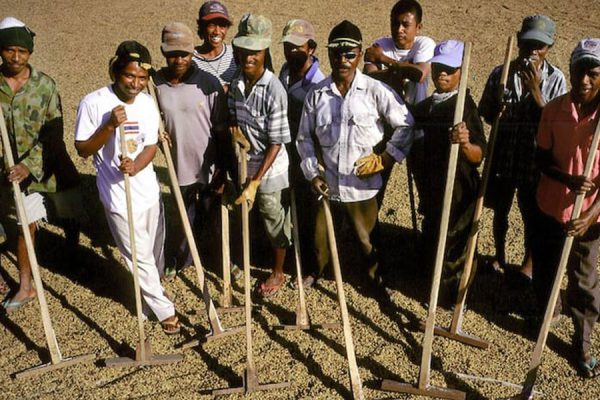 Timor Leste Economy Overview | Tourism Timor Leste