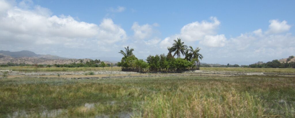 Aileu - Tourism Timor-Leste